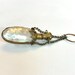Antique Victorian Mother of Pearl Perfume Bottle Vintage MOP Shell ...