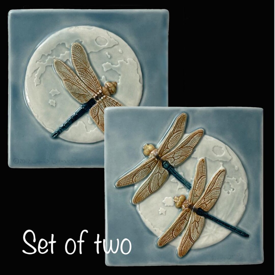 Dragonflies Set of Two. 4" X 4", Dragonfly in Moonlight - Etsy