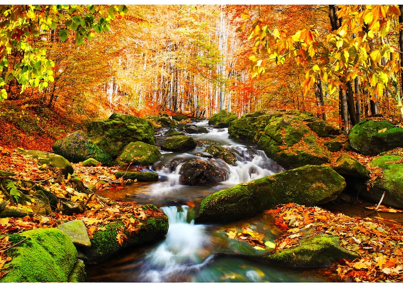 Quilt Pattern for Panel Quilt Easy for Beginners Showing Fall Leaves ...