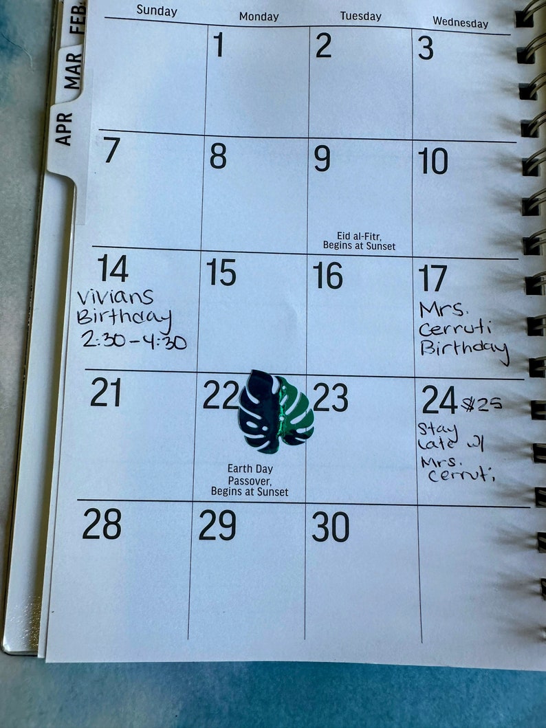 Monstera Stickers Color Reflective Small || Planner Stickers || Plant ...