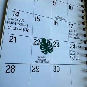 Monstera Stickers Color Reflective Small || Planner Stickers || Plant ...