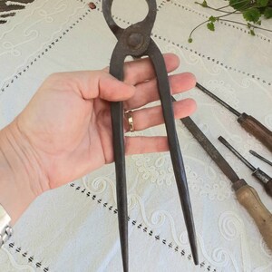 Set of 5 Iron Manual Tools. Woodworking Hand Utensils. Carpenter ...