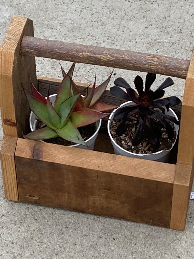 Handmade Wood Tool Box Handle is Raw Wood for Storage or as - Etsy