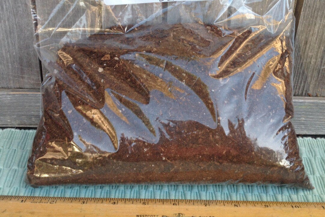 Worm Gold Plus Plant Supplement and Food, Organic, One (1) Pound in ...