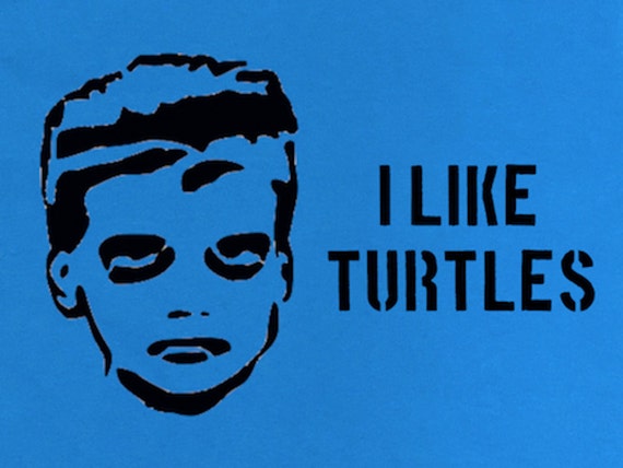 I Like Turtles Picture