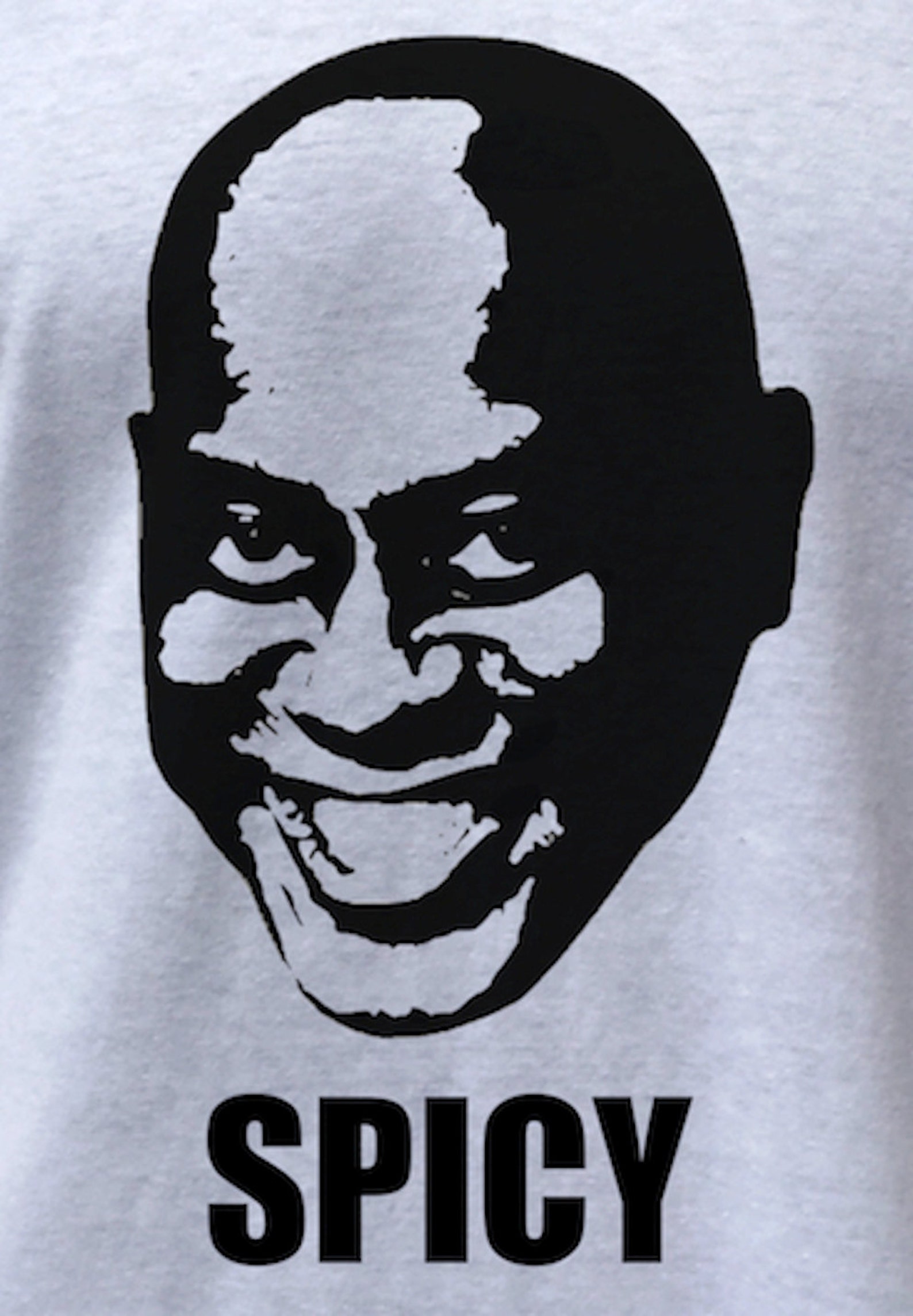 Ainsley Spicy Internet Meme T-shirt - Etsy UK