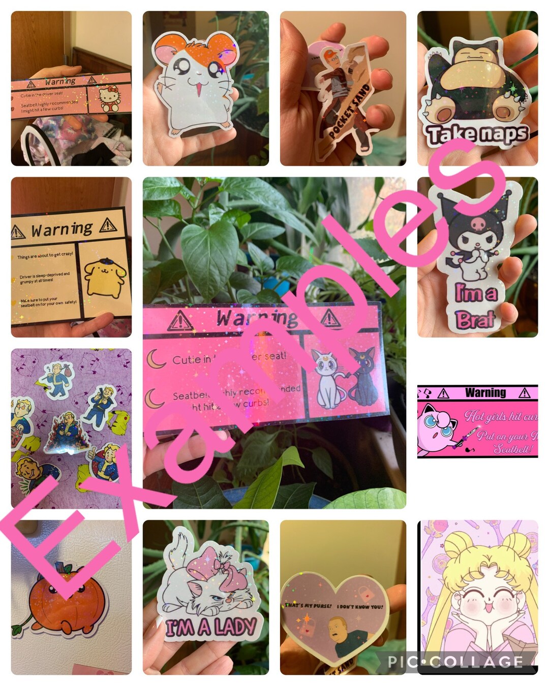 Custom Sticker Different Sizes, Car Warning Stickers, Pet Stickers ...