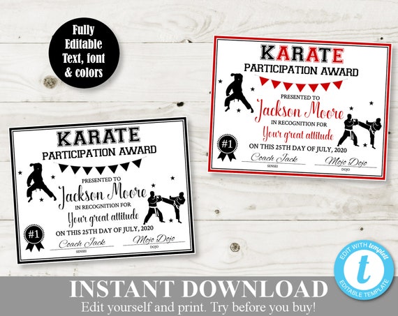 INSTANT DOWNLOAD Printable Karate 8.5x11 Certificate / Award / Sport ...