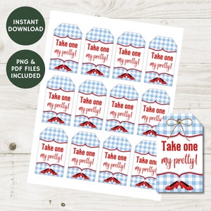 Oz Inspired Printable 2"x3" Take One My Pretty Hang Tags, Party Favor ...
