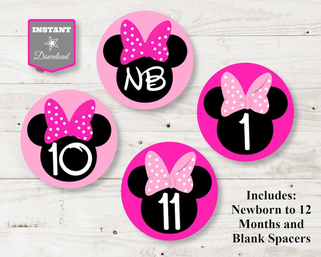 INSTANT DOWNLOAD Hot Pink Mouse 12 Month Photo Banner Spacers / First ...