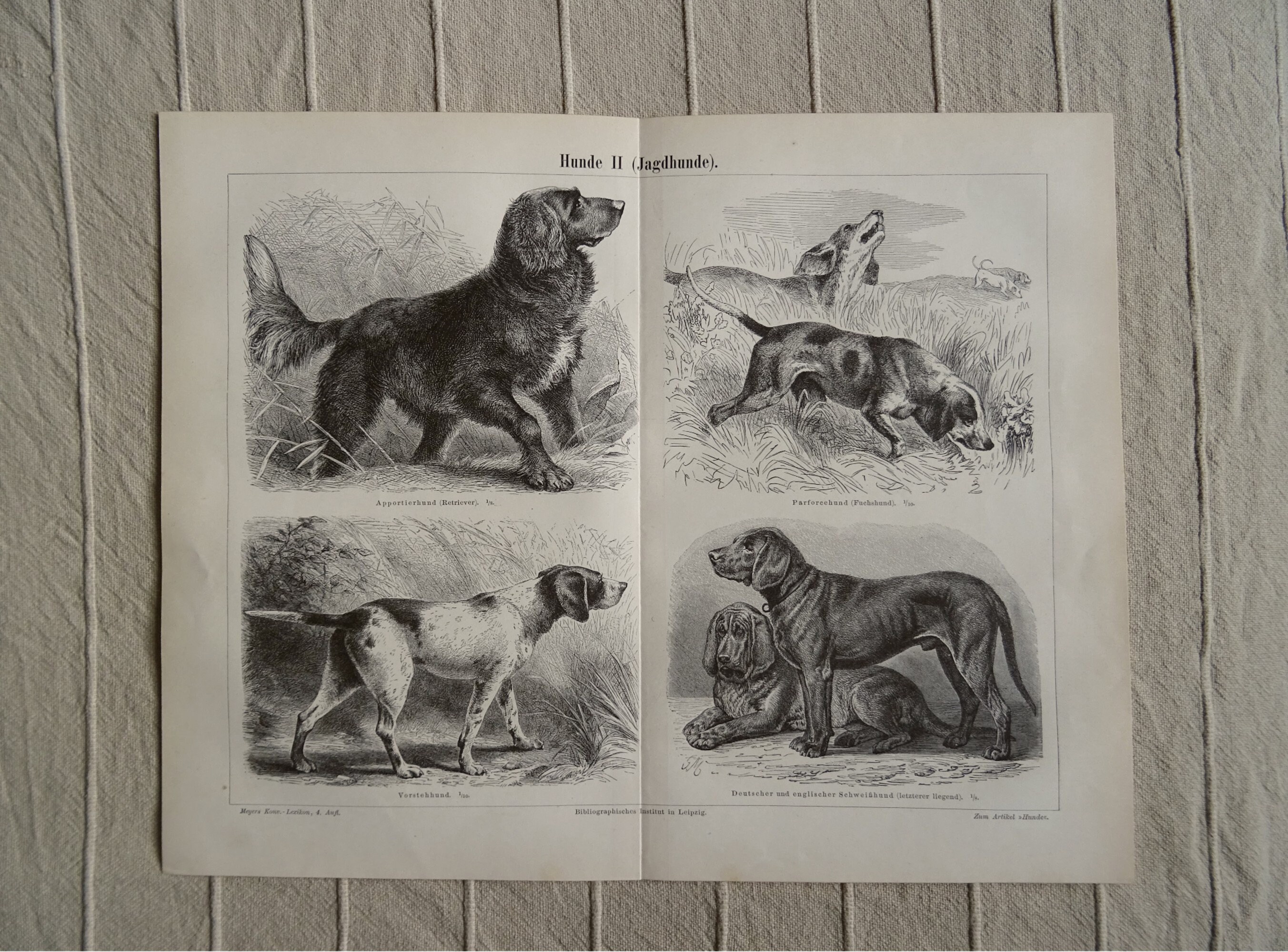 Lithographs Prints Art & Collectibles Original Antique Coloured ...
