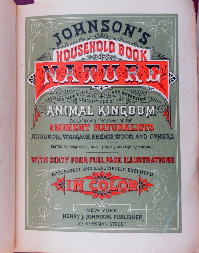 1880.antique Print.johnson's Household Book - Etsy