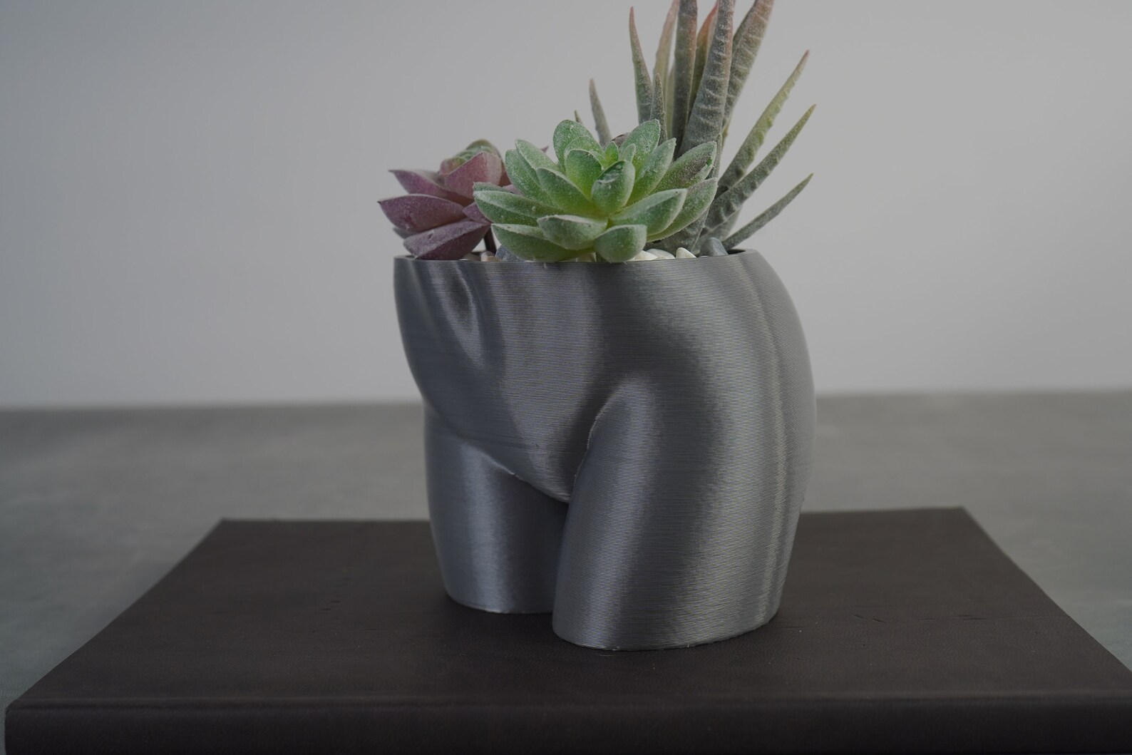 Hanging Planter Female Body Planter Pot 3D Printed Booty - Etsy