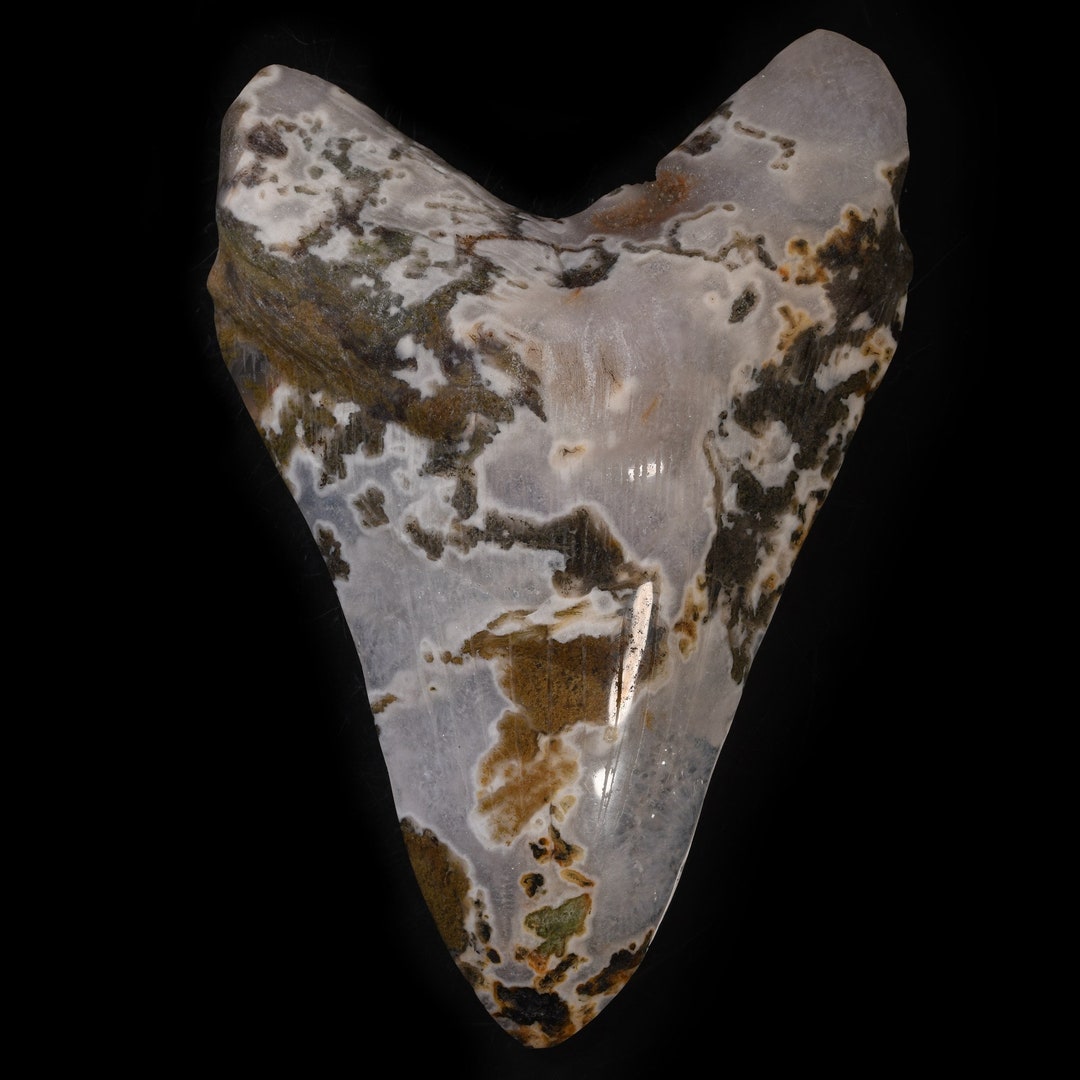 7.28 630g Natural Geode Moss Agate Handmade Megalodon Shark Tooth ...