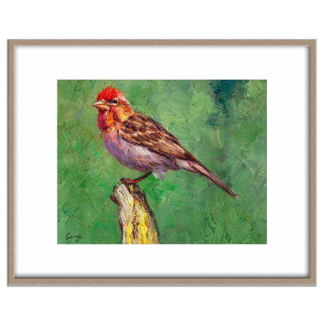 Bird Wall Art: House Finch Oil Painting - Textured Canvas - Etsy