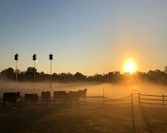 Fine Art Vibrant Farm Sunrise Print - Etsy