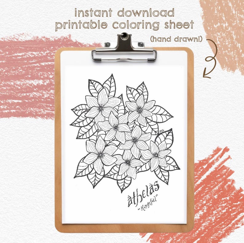 Athelas Flower Coloring Page - Fantasy Art Printable (digital Download ...