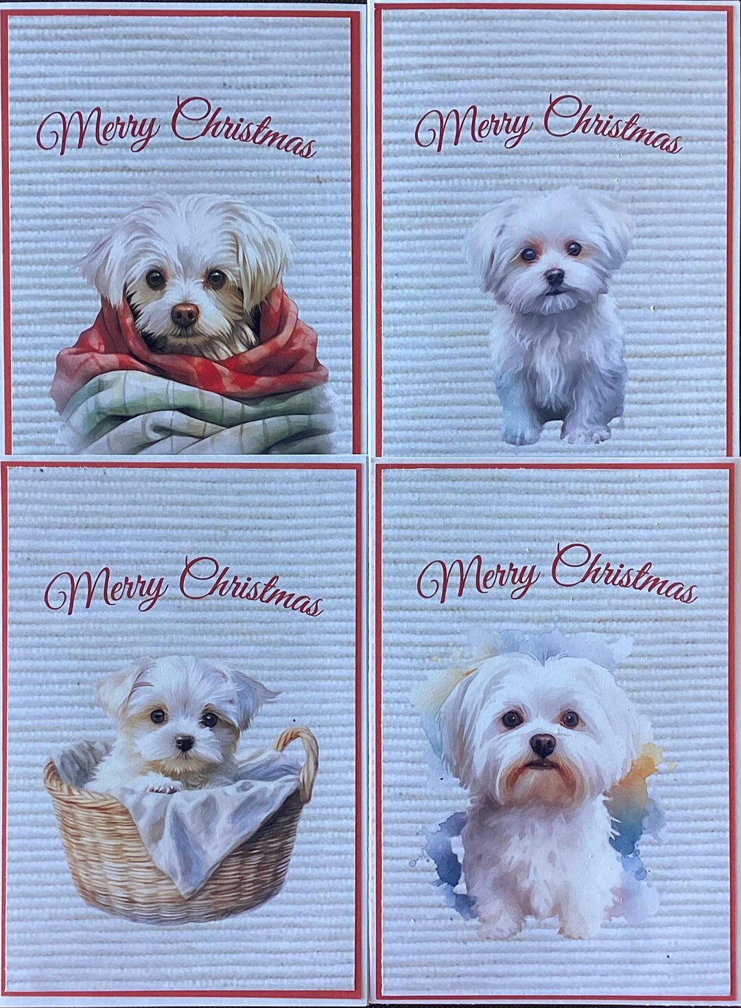 Pack of 4 Cute Little Maltese Dogs Christmas Cards.christmas Card ...
