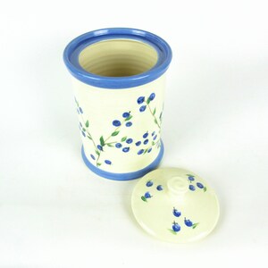 Canister Jars With Handpainted Blueberry Design, Blue and White Jars ...