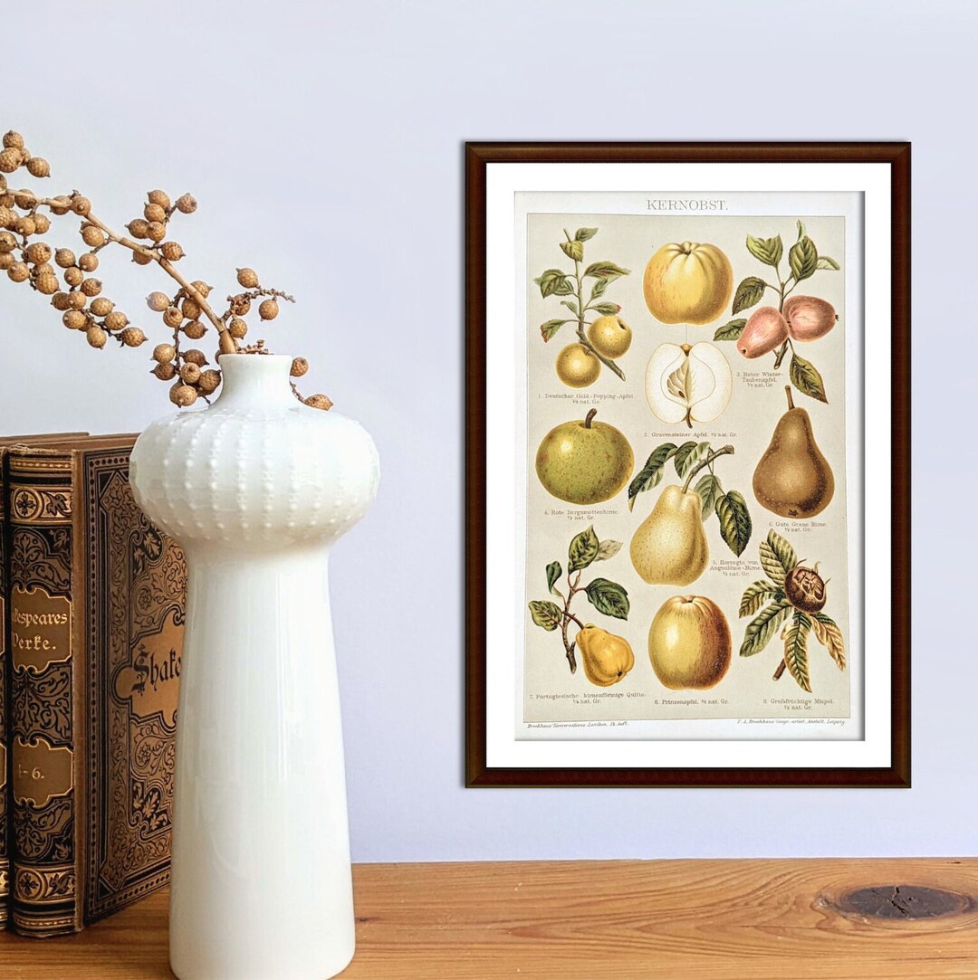 Pome Fruit Original Lithograph From 1893 Vintage Poster Botanical Print ...