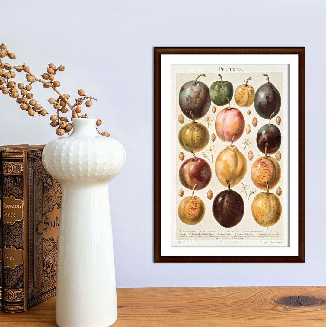 Plums Antique Lithograph From 1897 Vintage Poster Original Fruit ...