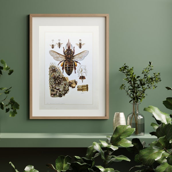 Bee Poster - Etsy