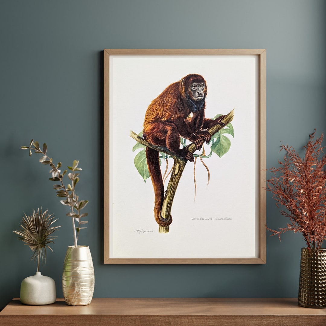 Howler Monkey Vintage Animal Print Monkey Lithograph Primate Old ...