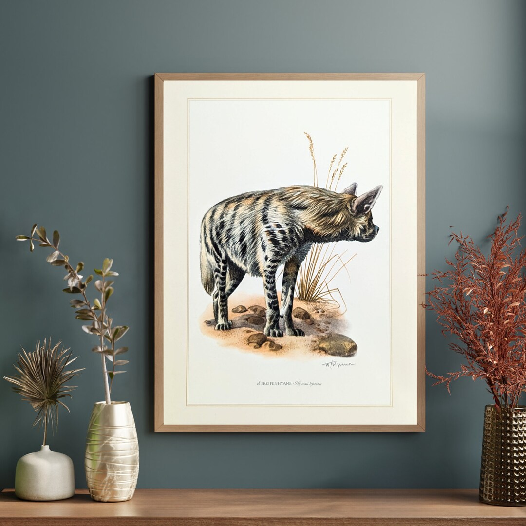 Striped Hyena Original Lithograph From 1959 Vintage Poster Hyena Old ...
