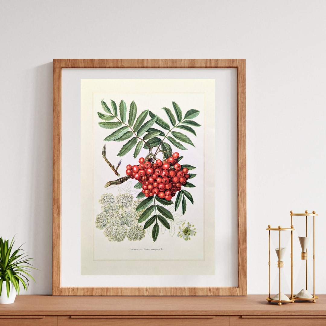 Rowan Historical Print From 1959 Vintage Poster Original Rowan ...