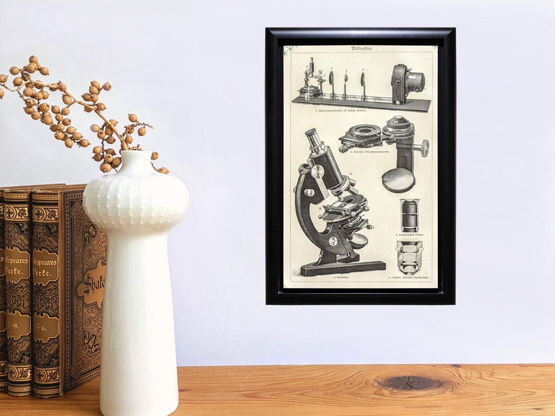 Microscope Original Vintage Image Lithograph From 1927 Antique - Etsy