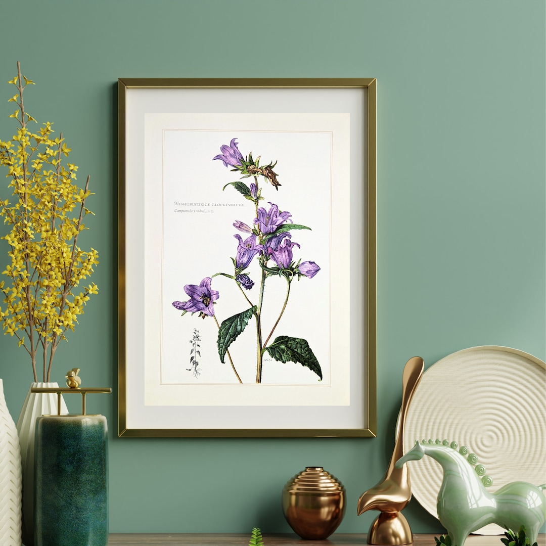 Bluebell Botanical Print From 1959 Vintage Poster Original - Etsy