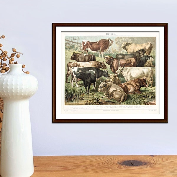Vintage Wall Poster Cattle - Etsy