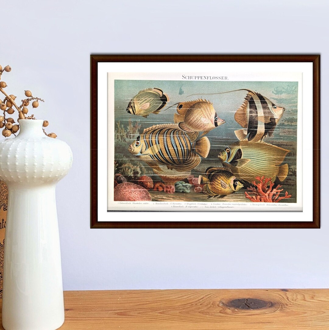 Fishes Antique Lithograph From 1897 Vintage Poster Original Underwater ...