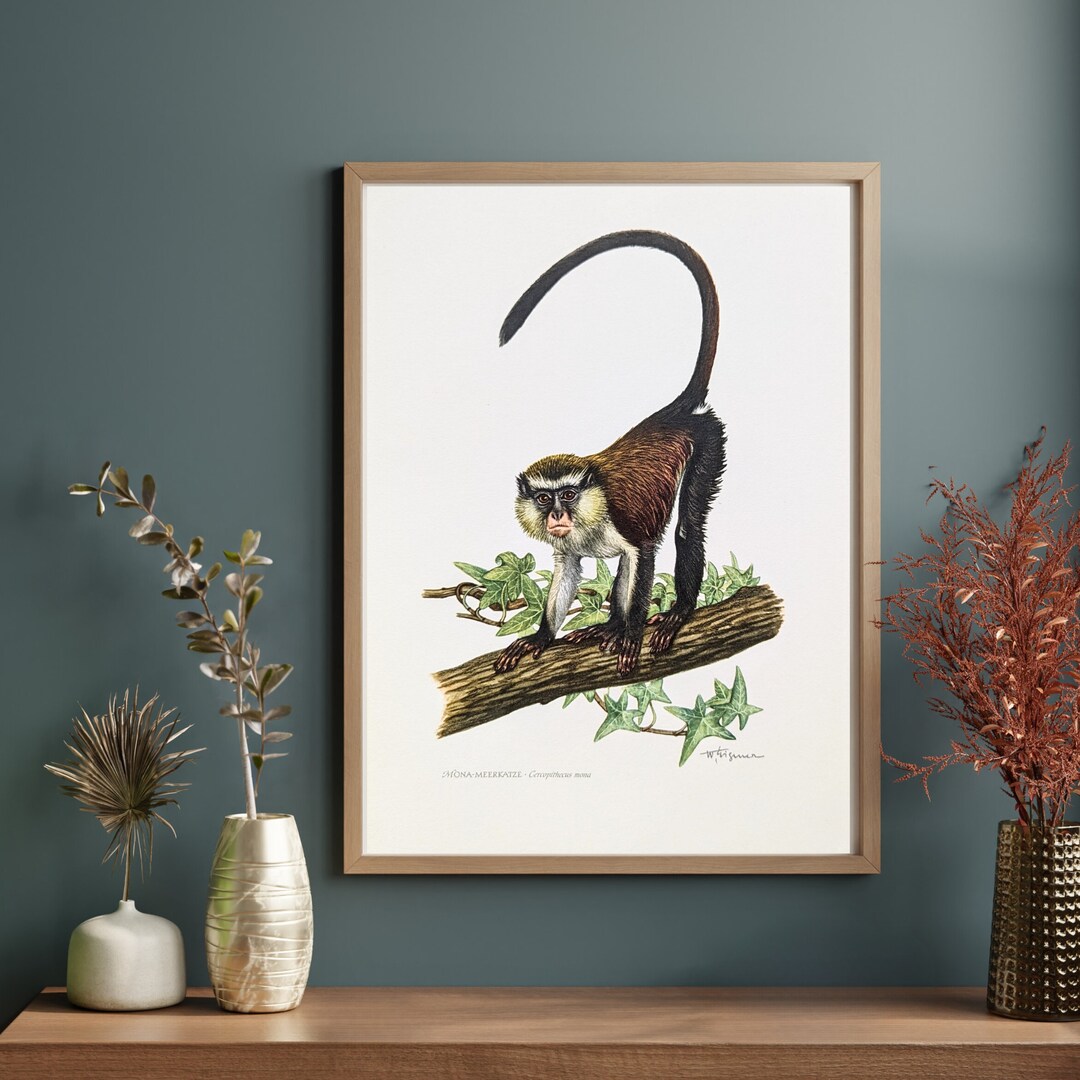 Monkey Cat Original Print From 1959 Vintage Poster Original Primates ...