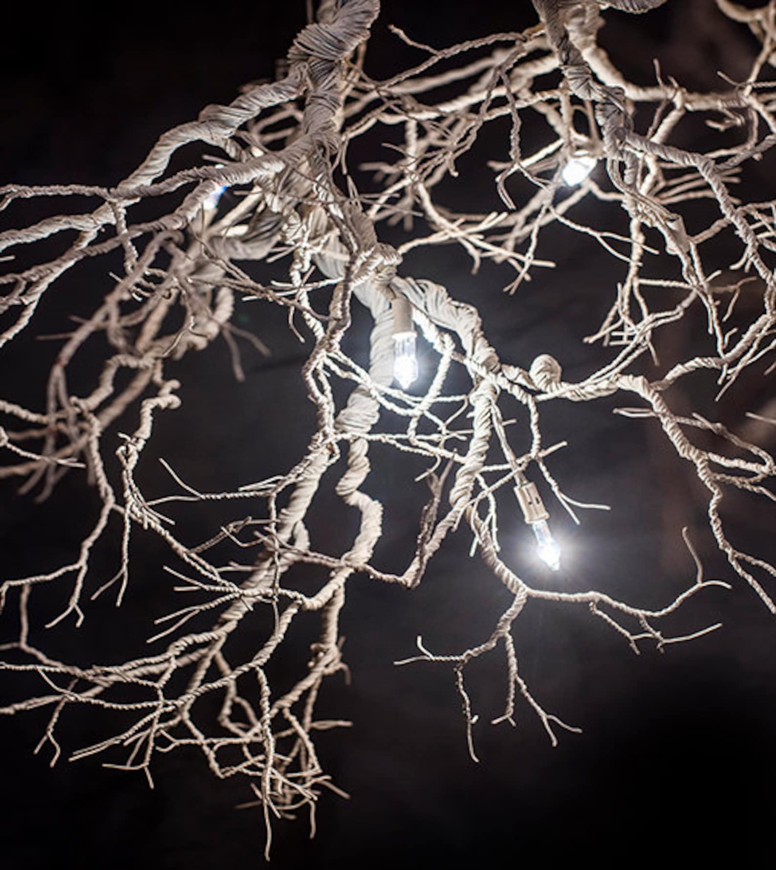 ROOTS Collection - Root Branch - Etsy