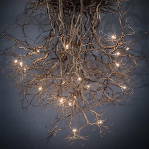 Tree Root Chandelier - Etsy