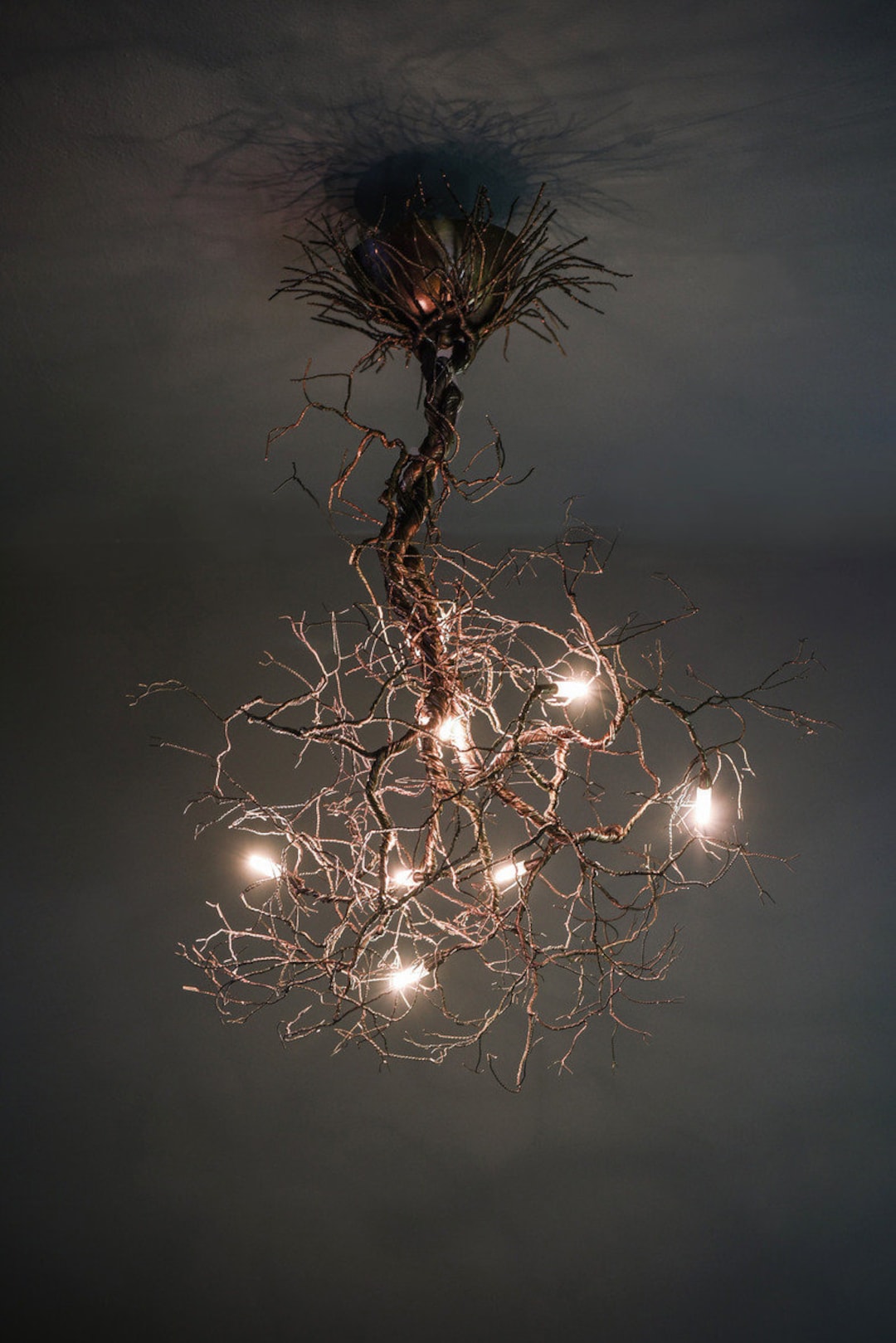 ROOTS Collection - Root Branch - Etsy