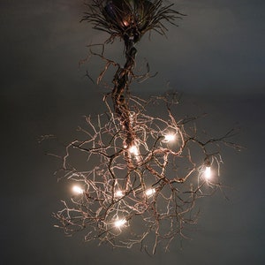 Tree Root Chandelier - Etsy