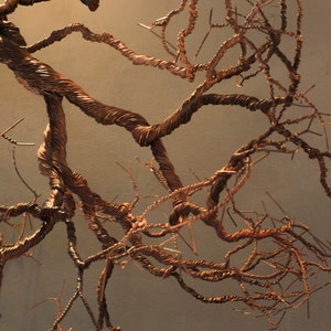 ROOTS Collection - Root Branch - Etsy