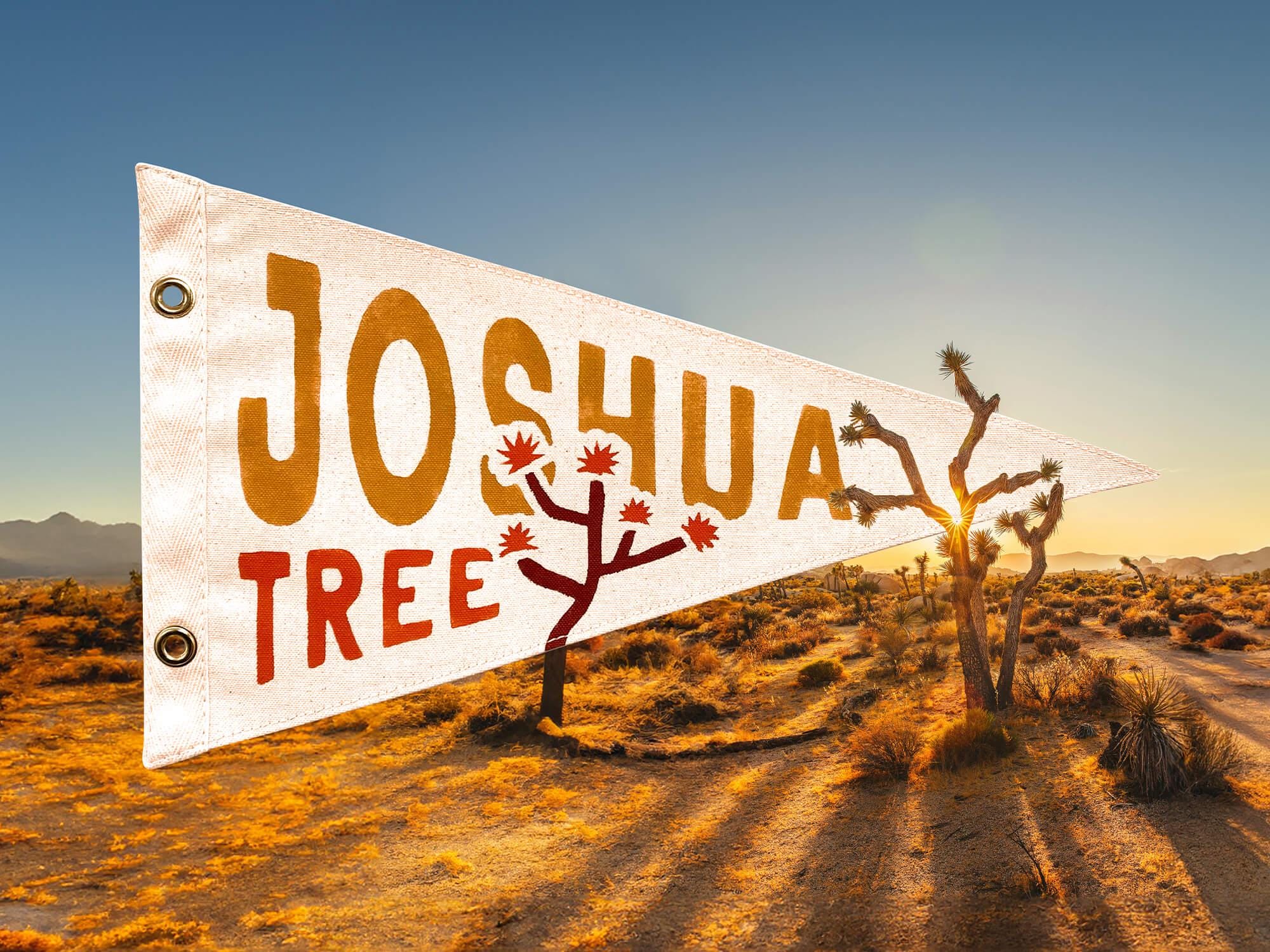 Joshua Tree National Park (california) Canvas Pennant - Etsy