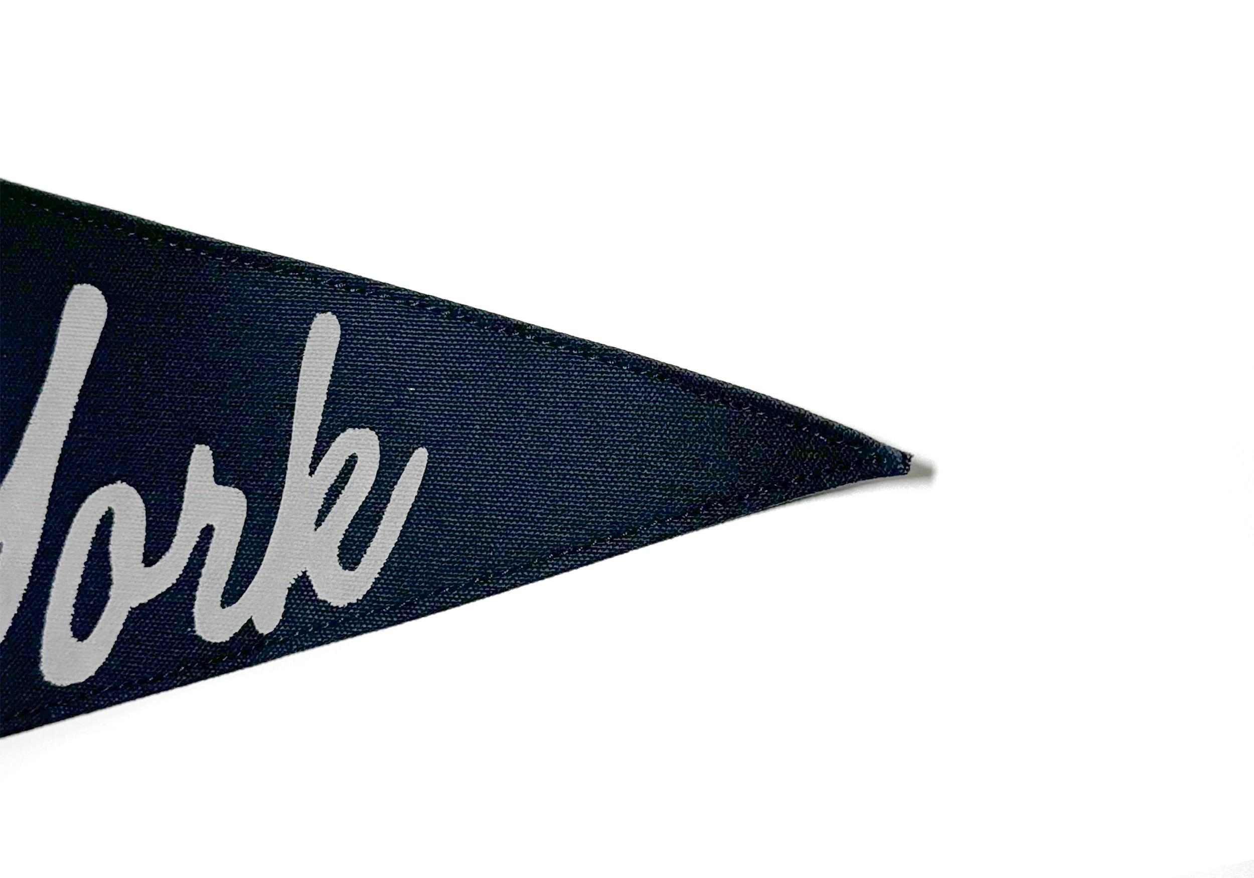 New York City (NYC) Script Canvas Pennant Flag - Etsy