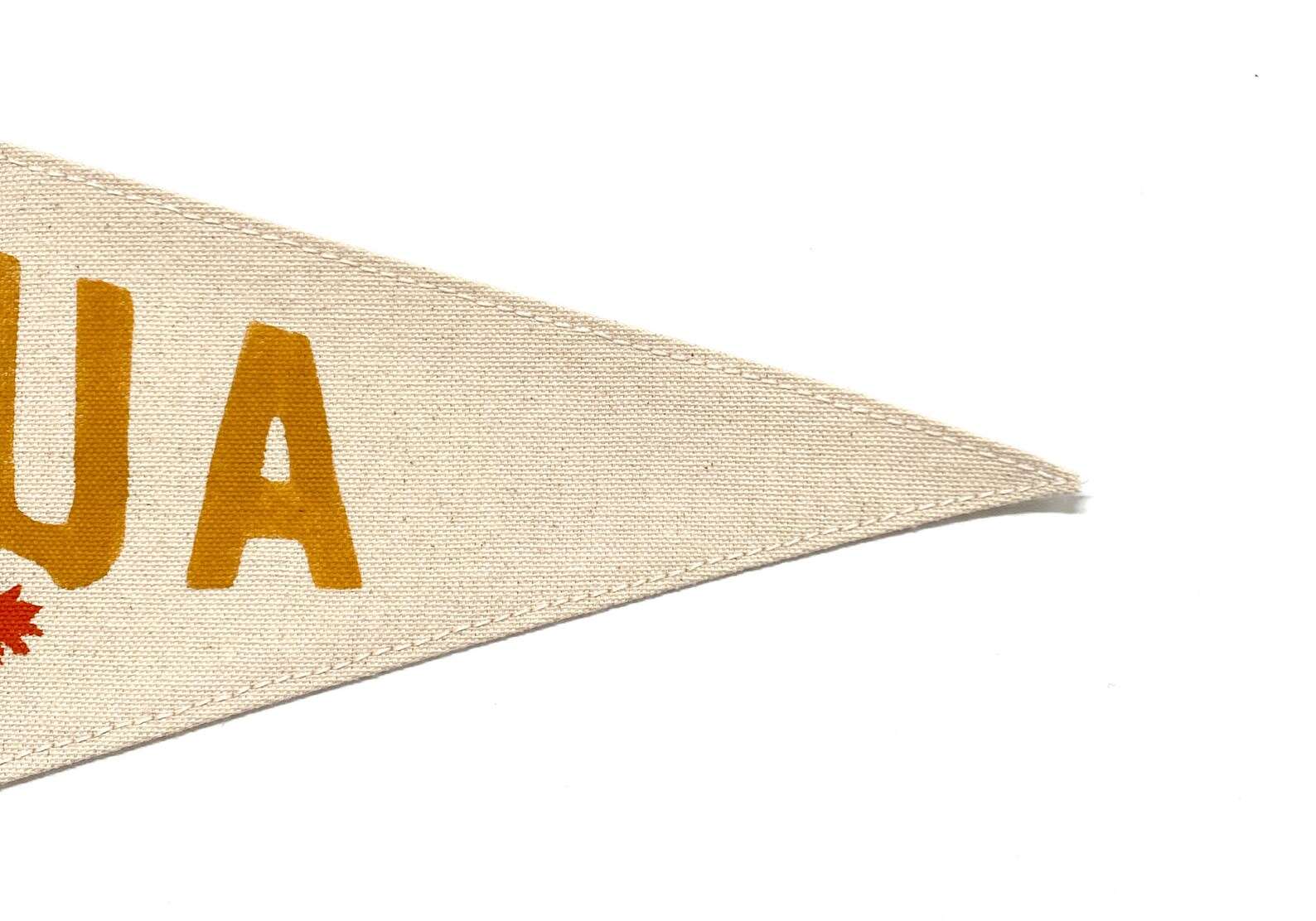 Joshua Tree National Park (california) Canvas Pennant - Etsy