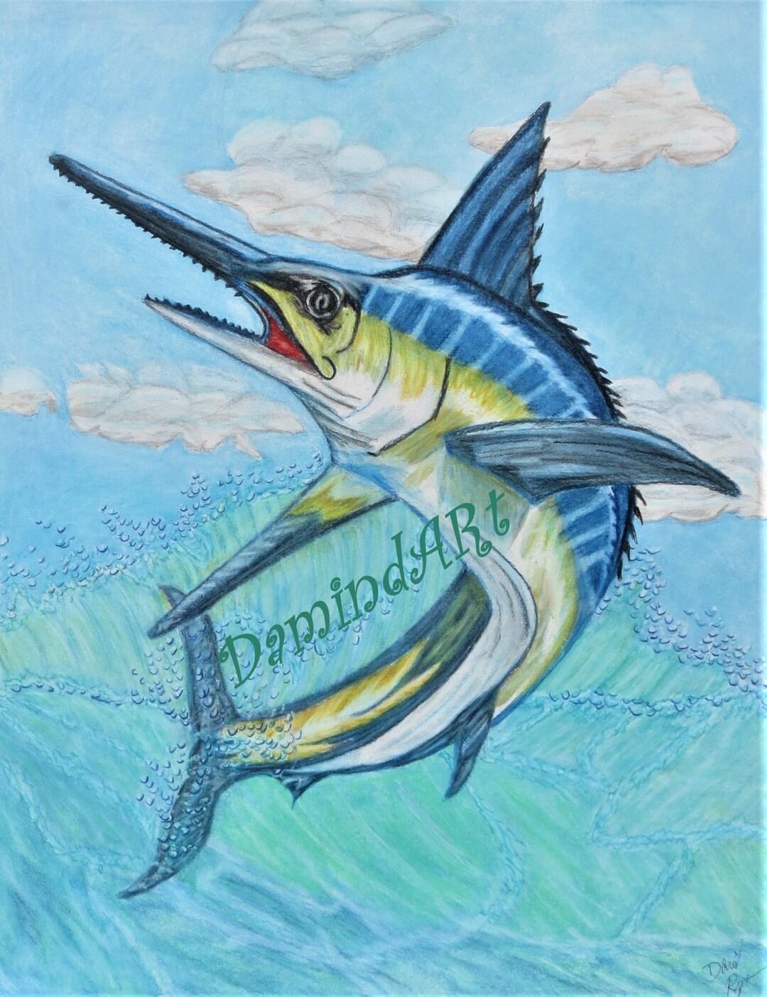 Striped Marlin Jumping/ Breaching / Cresting Surface- Original Colored ...