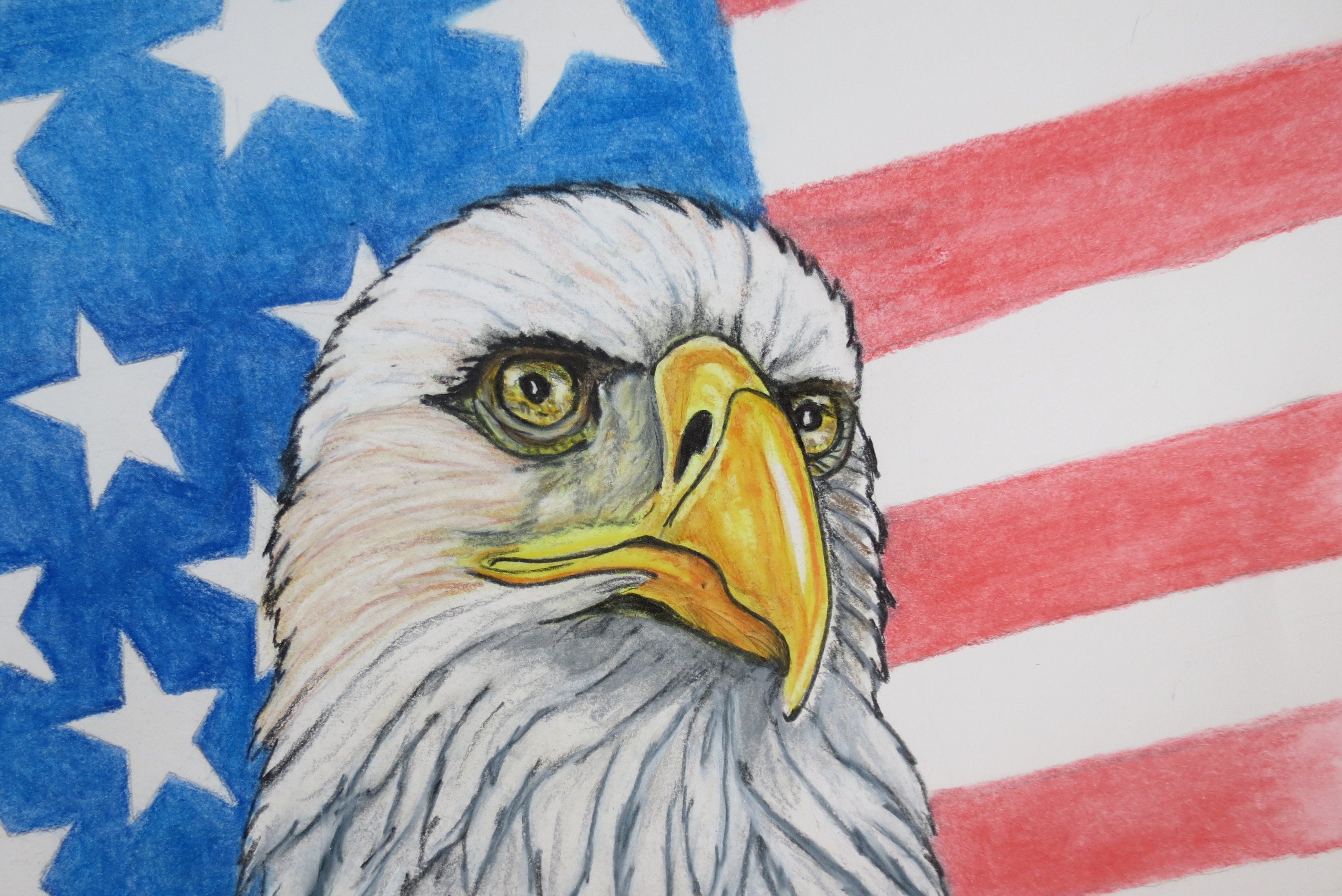 Bald Eagle With Partial Flag Background- Original Colored Pencil ...