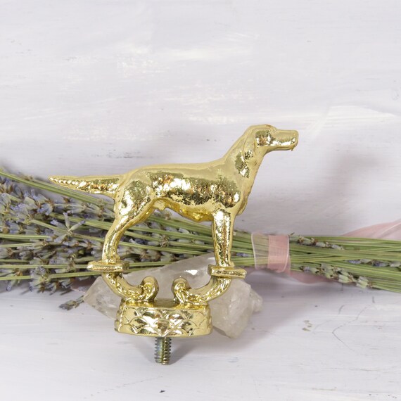Vintage Dog Trophy Topper Finial Hound Dog Gold Tone Metal - Etsy