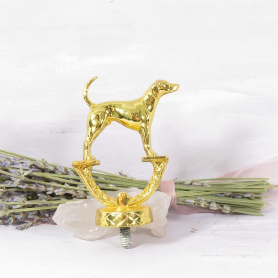 Vintage Dog Trophy Topper Finial Hound Dog Gold Tone Metal - Etsy