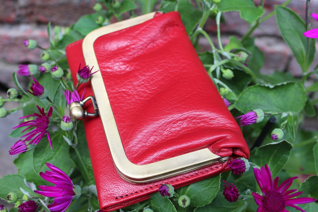 Evanna Small Clip Frame Wallet, Red Leather, Brass Colour Metal Frame ...