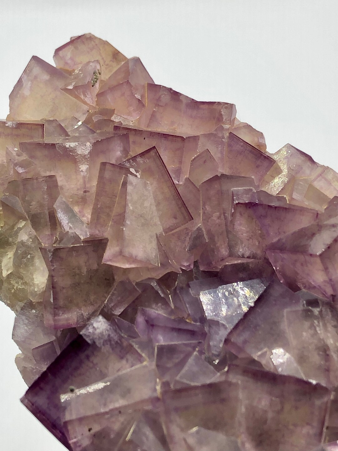 Tri-colored Fluorite Display Cluster - Etsy