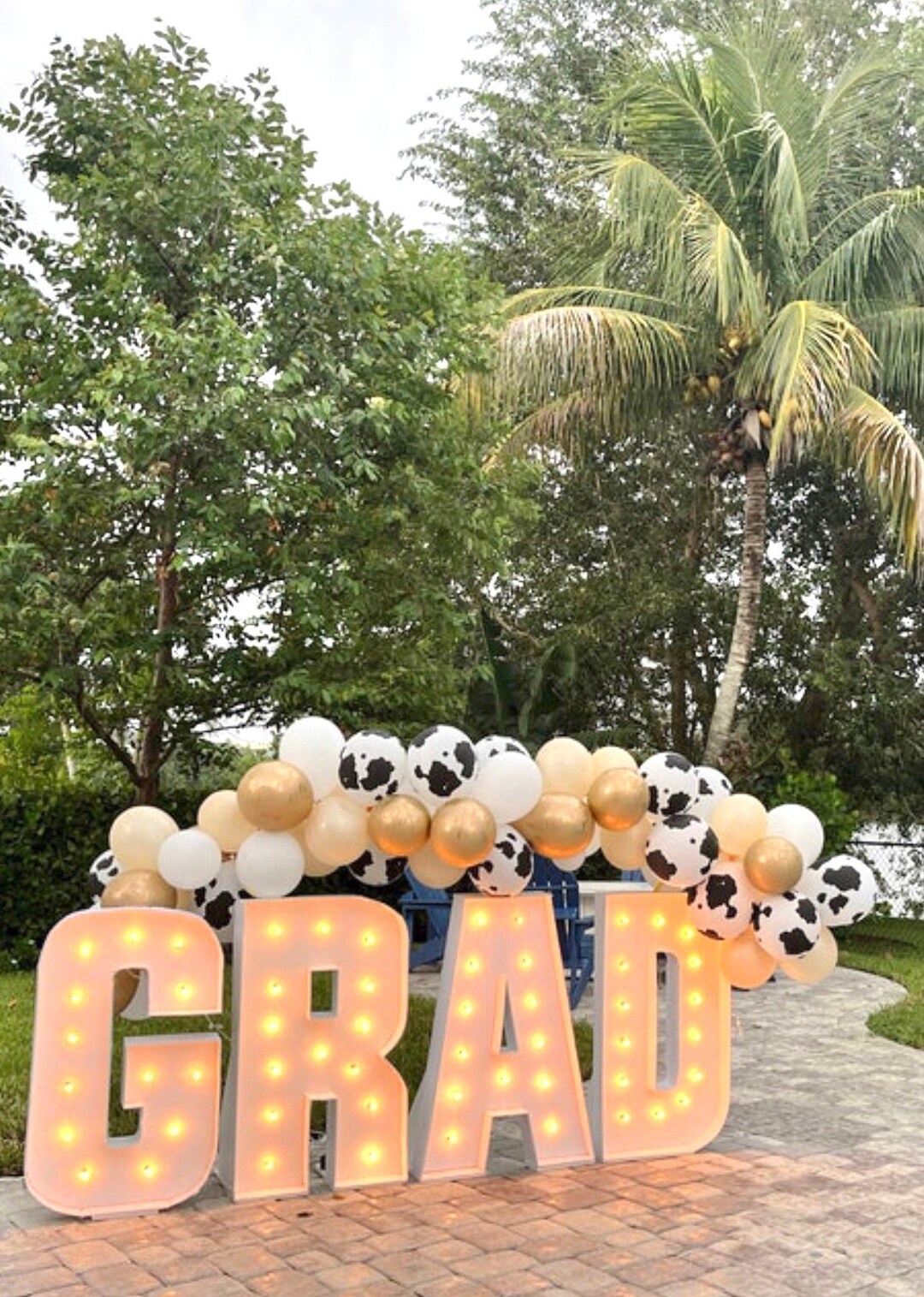 Graduation Balloon Garland, Cowgirl Balloon Garland, Grad Party ...