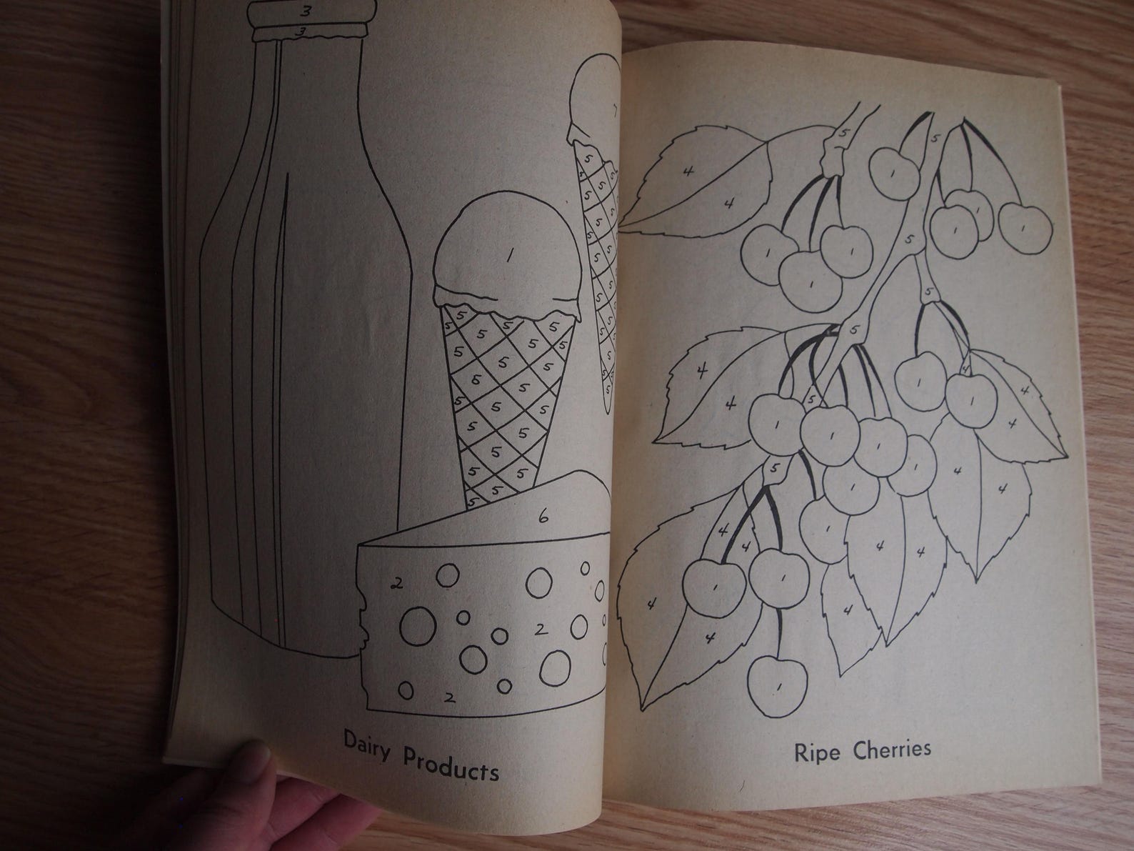 Vintage Farm Color by Number Coloring Book - Etsy